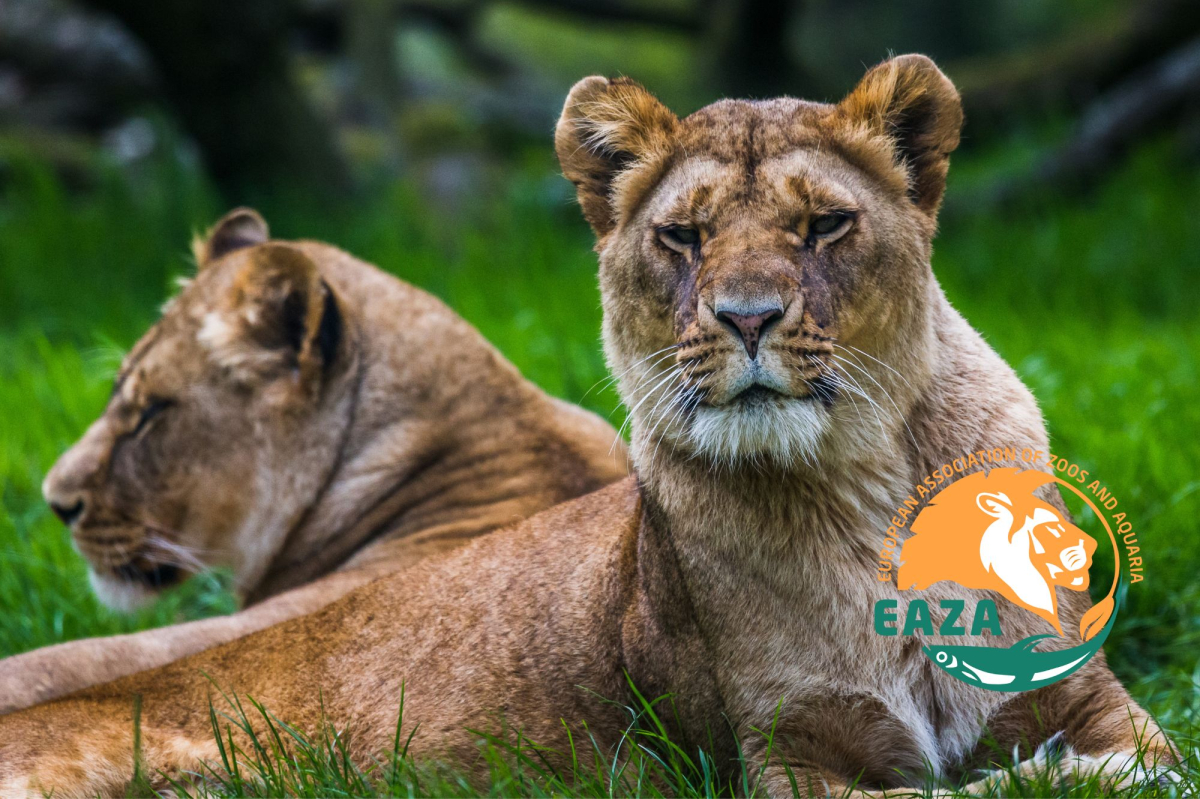 DigiTickets Joins EAZA!